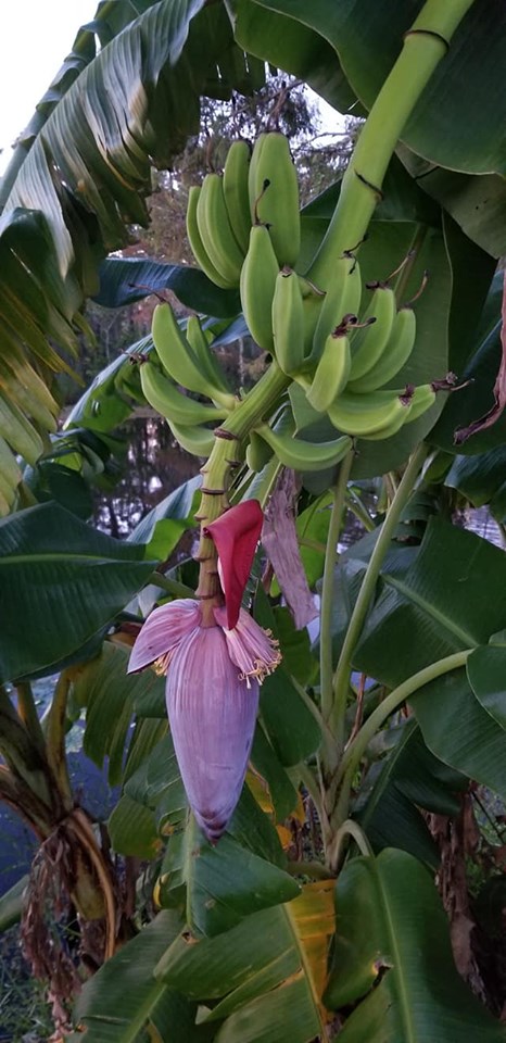 Cypress Lake RV Park, Orange Texas 77632 – Reserve with us today! Call ...