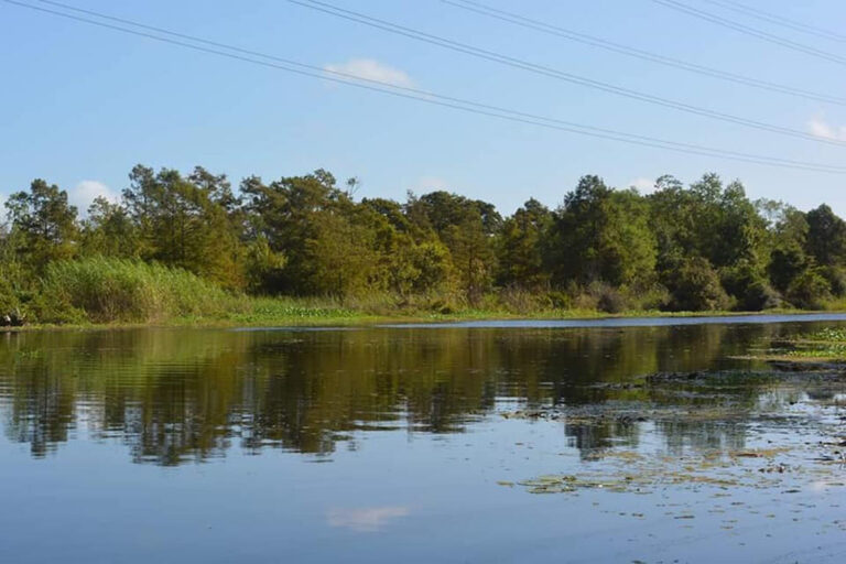 Cypress Lake RV Park, Orange Texas 77632 – Reserve with us today! Call ...